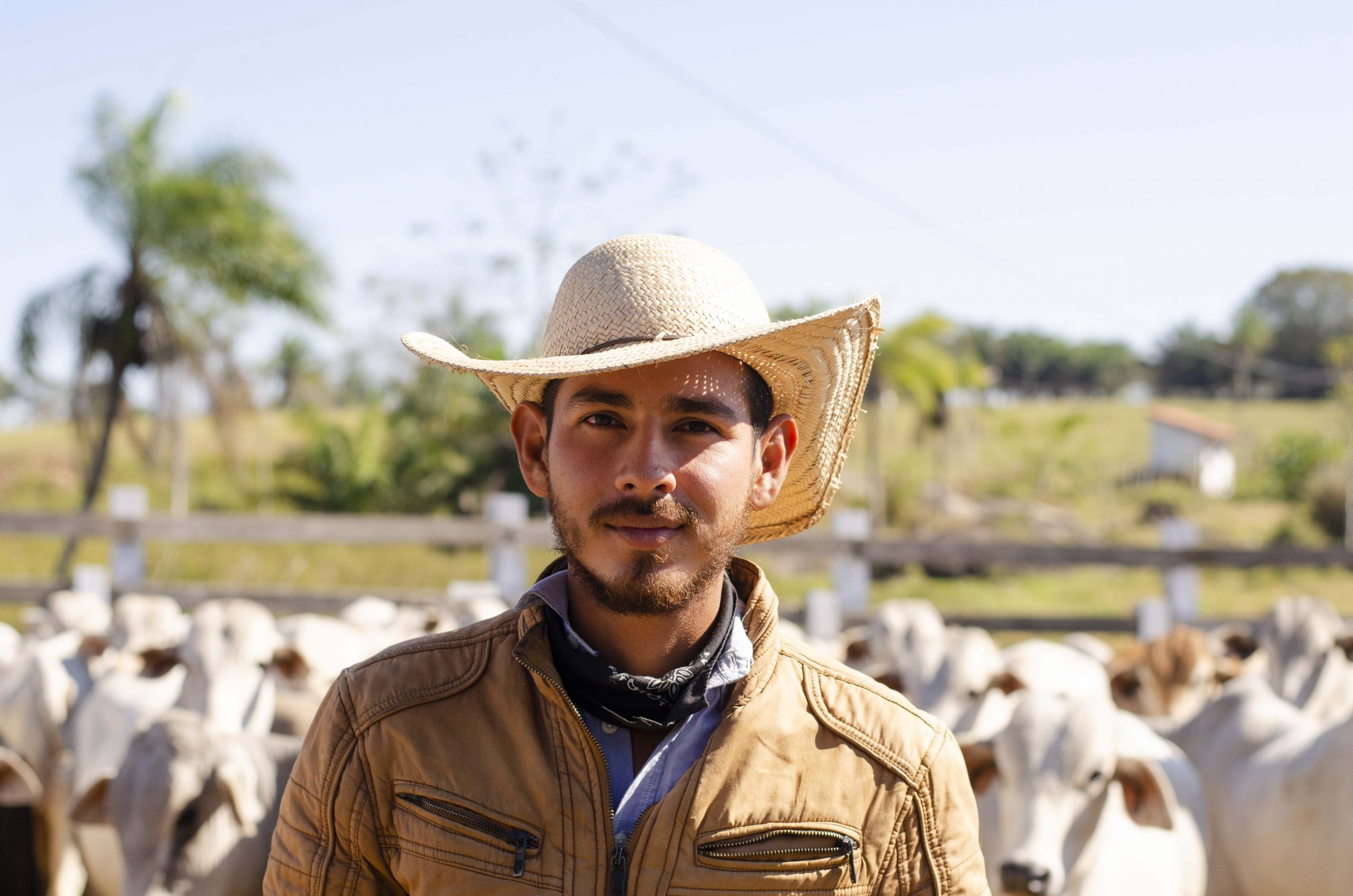 Key ILM elements at work in our Latin American and Caribbean projects ...